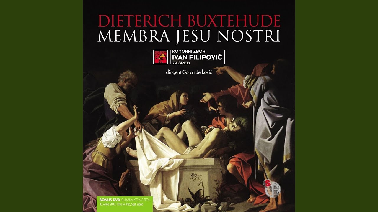 Ad Latus - Surge, Amica Mea - YouTube