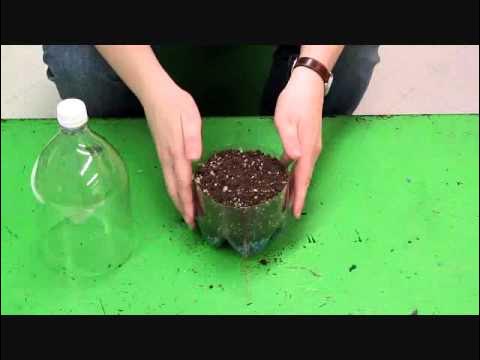 How to Build a Pop Bottle Terrarium - YouTube
