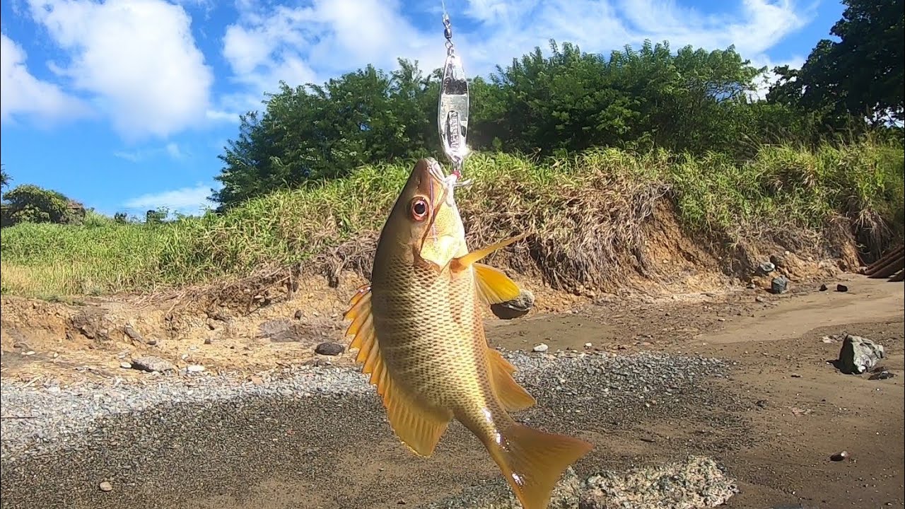 HE ALWAYS WANTED THIS FISH..........................Tobago Fishing ...