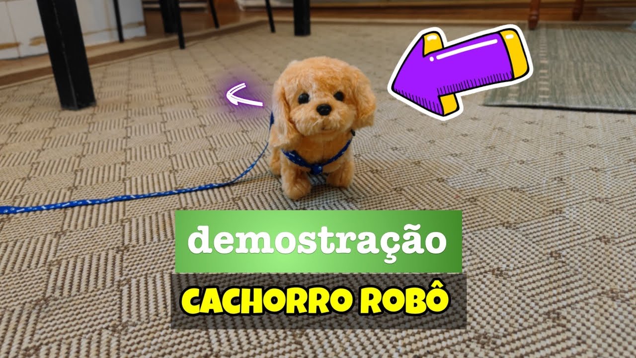 Cachorro Robô (Cachorrinho robô Demostração) - YouTube