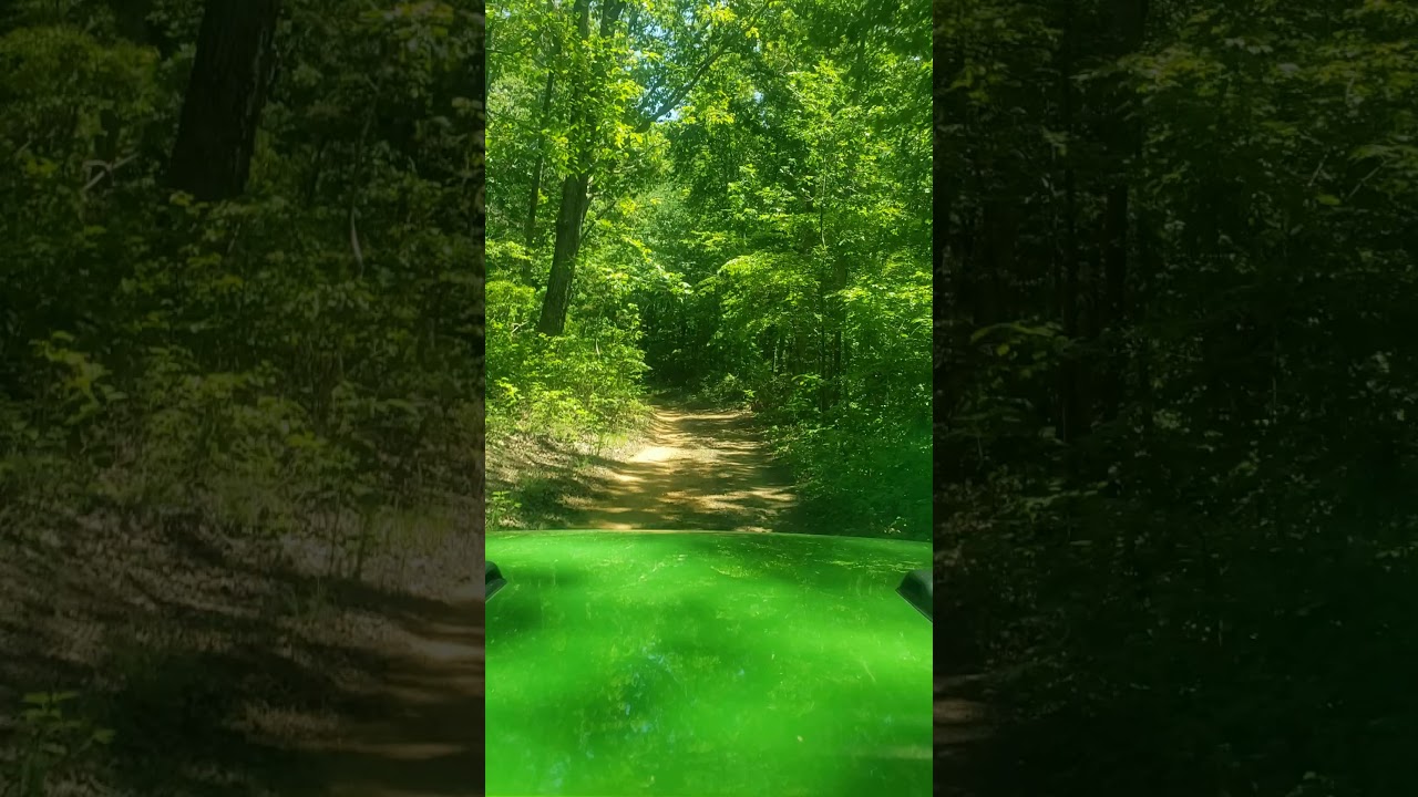 Cheatham Co WMA - YouTube