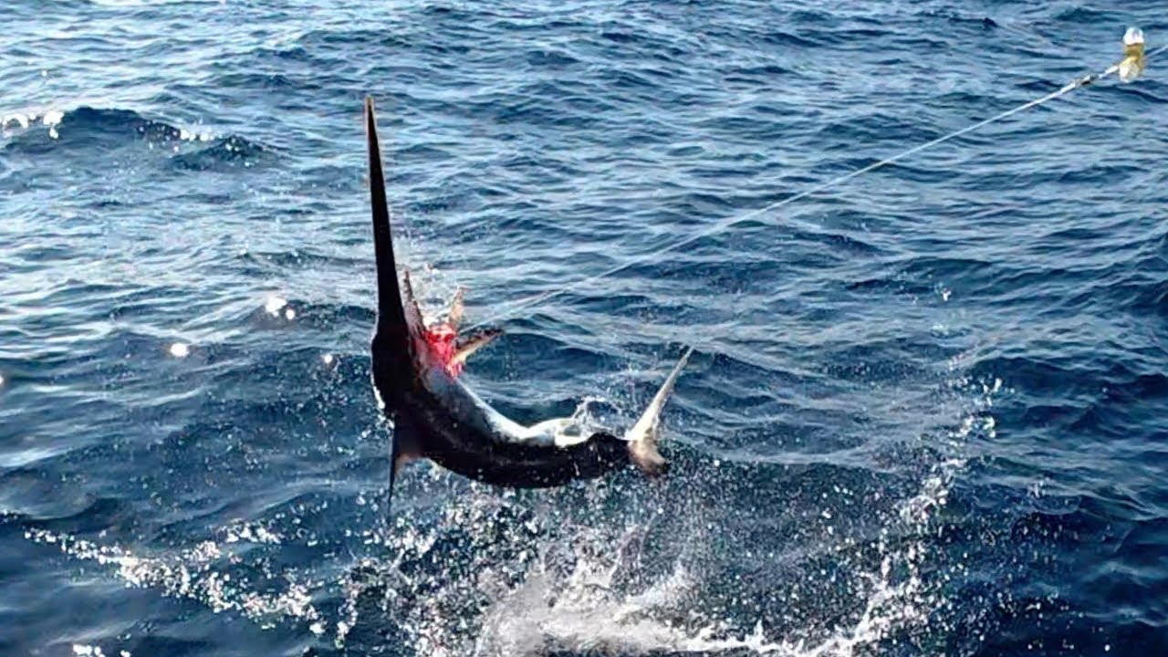 Busting 2 Swordfish — Plus How I Save Big Money Spooling My Own Gear ...