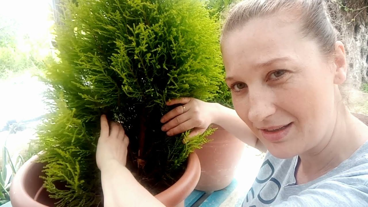 ΚΗΠΟΥΡΙΚΗ 2021/ ΑΝΑΝΕΩΝΩ ΤΟΝ ΚΗΠΟ ΜΟΥ (ΜΕΡΟΣ 1) GARDENING - YouTube
