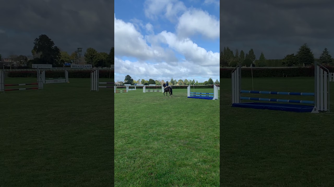 Tauranga Show Jumping 70cm - YouTube