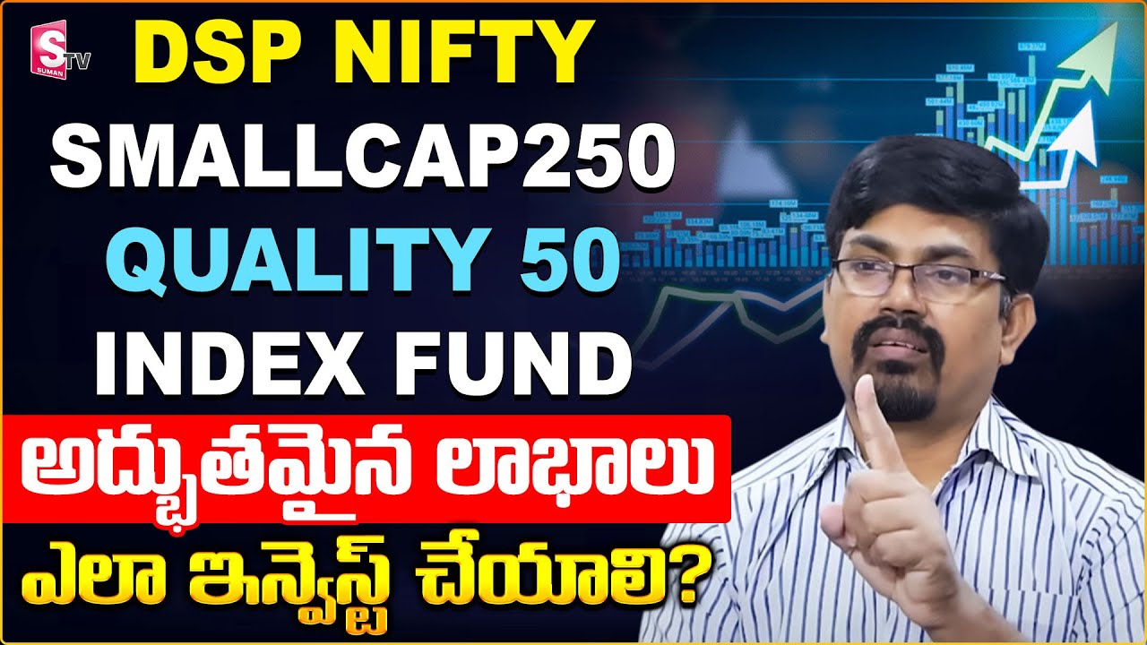 DSP Nifty Smallcap250 Quality 50 Index Fund | Best Fund to invest in ...