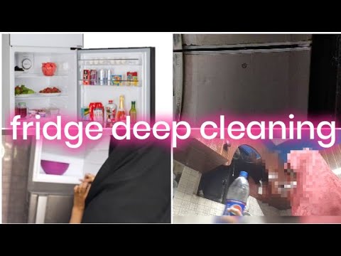 My fridges deep cleaning routine]how to clean refrigerator ]best ...