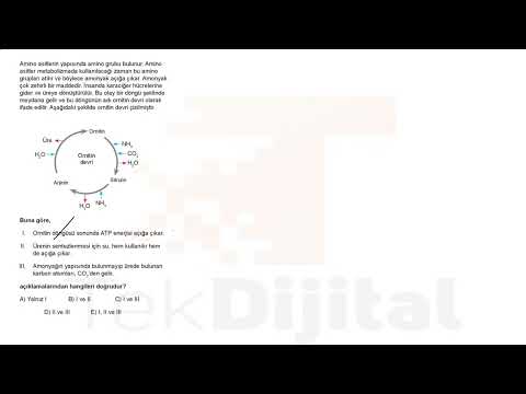 İnsan Anatomisi ve Fizyolojisi - Test 23 - Soru 3