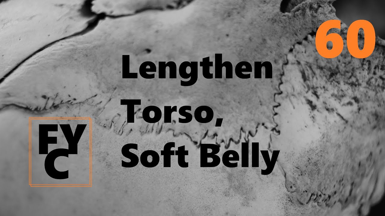 Lengthen Torso, Soft Belly // FORREST YOGA CHICAGO [60 min.] - YouTube