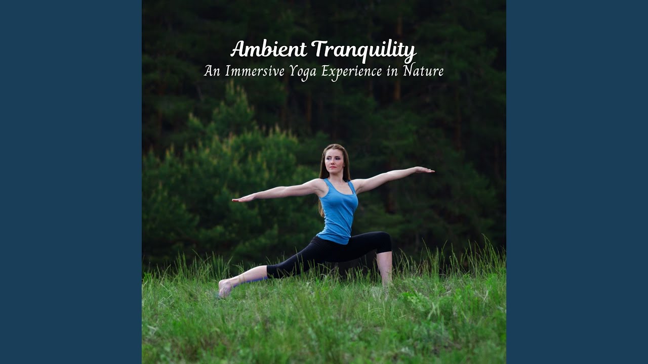 Immersive Tranquility Yoga Rhythm - YouTube