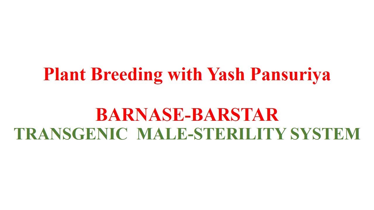 Barnase-Barstar Transgenic Genetic Male Sterility/Pollination Control ...