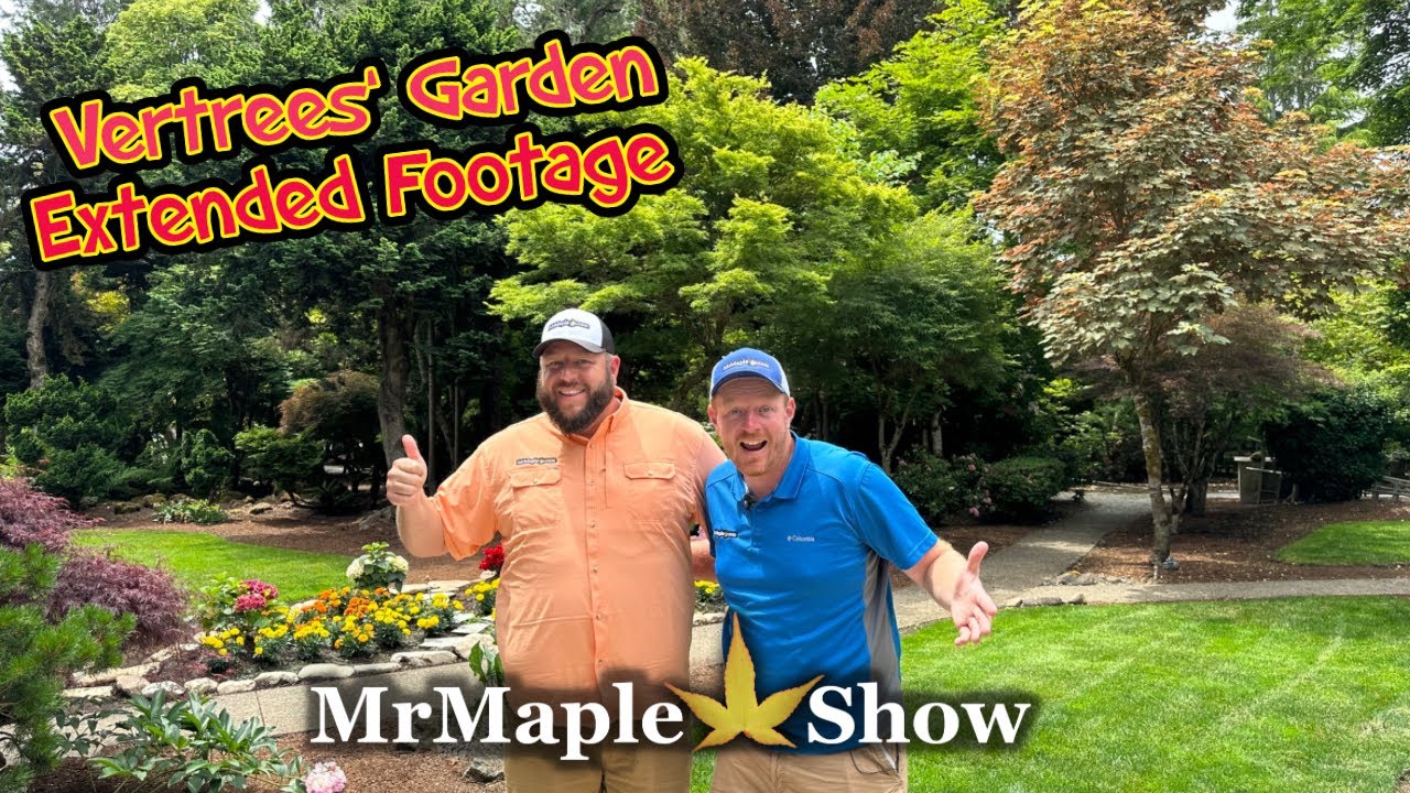 Japanese Maple Garden of Author J.D. Vertrees! Over 30 minutes of ...