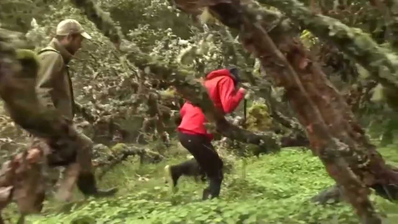 Amazonía Ecuatoriana HD - YouTube
