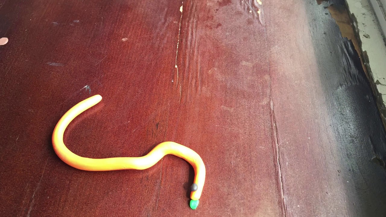 Snake “the Hello but Bye” - Stop motion by DK - YouTube