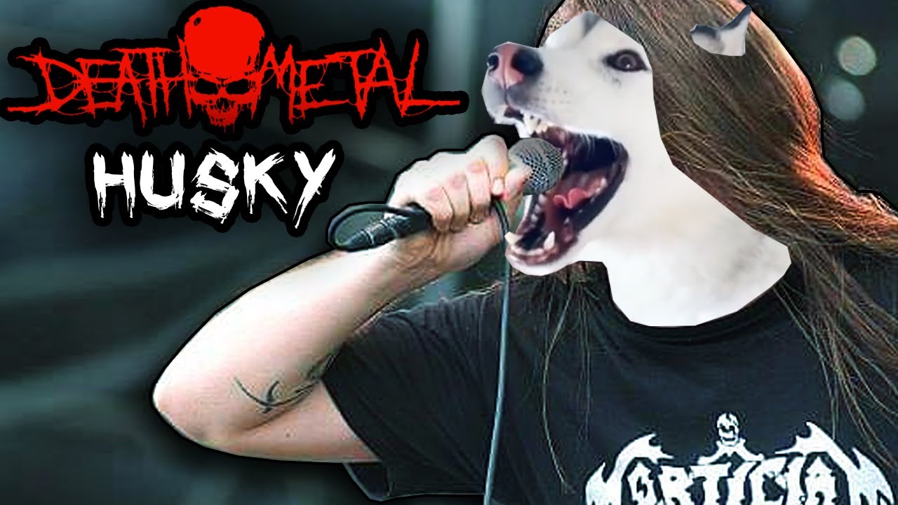 Black Metal Dog Meme