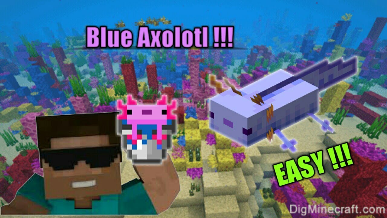 How to get blue axolotl in minecraft||DARK_ GAMING_@88|| - YouTube