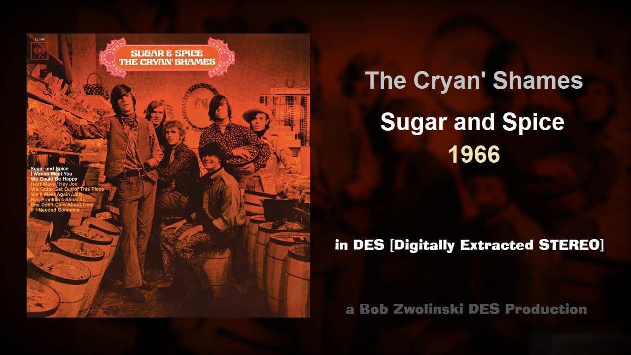 The Cryan' Shames – Sugar and Spice – 1966 [DES STEREO] - YouTube