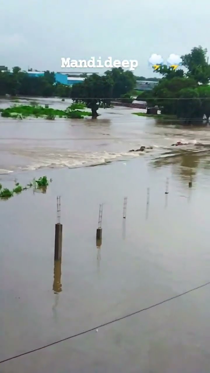 mandideep MP - YouTube