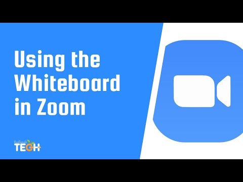 Zoom Whiteboard Feature - YouTube
