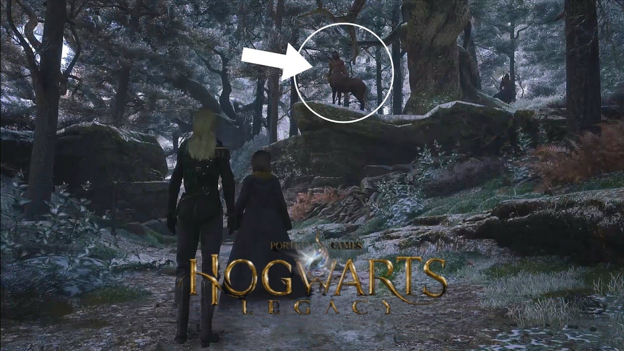 11 HOGWARTS LEGACY PS5 VRR 120HZ YouTube 11-hogwarts-legacy-ps5-vrr-120hz-youtube