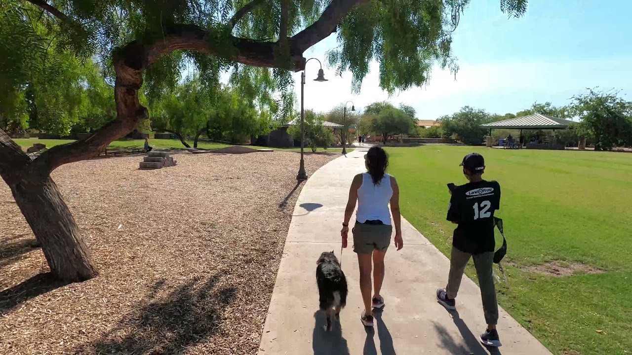 Riparian Preserve at Water Ranch, Gilbert AZ- Walking Tour - YouTube