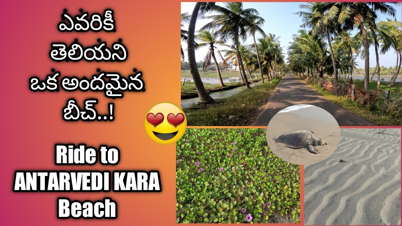 Ride to Antarvedi Kara Beach | Village Motovlogs | Unexplored Beach in ...