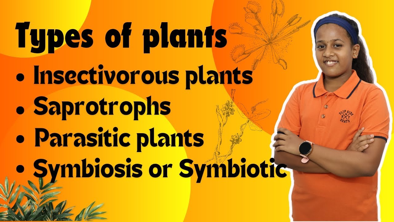 Types Of Plants Insectivorous Plant Parasitic Plants Saprotrophic types-of-plants-insectivorous-plant-parasitic-plants-saprotrophic