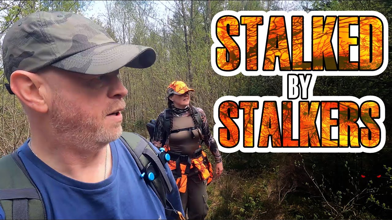 Stalked by Stalkers on a forest walk at Loch Ard forest in the Lomond ...