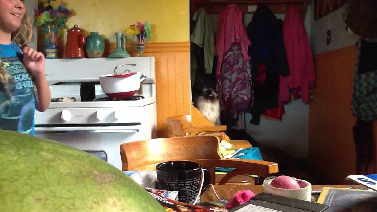 A magical Mesha? - YouTube