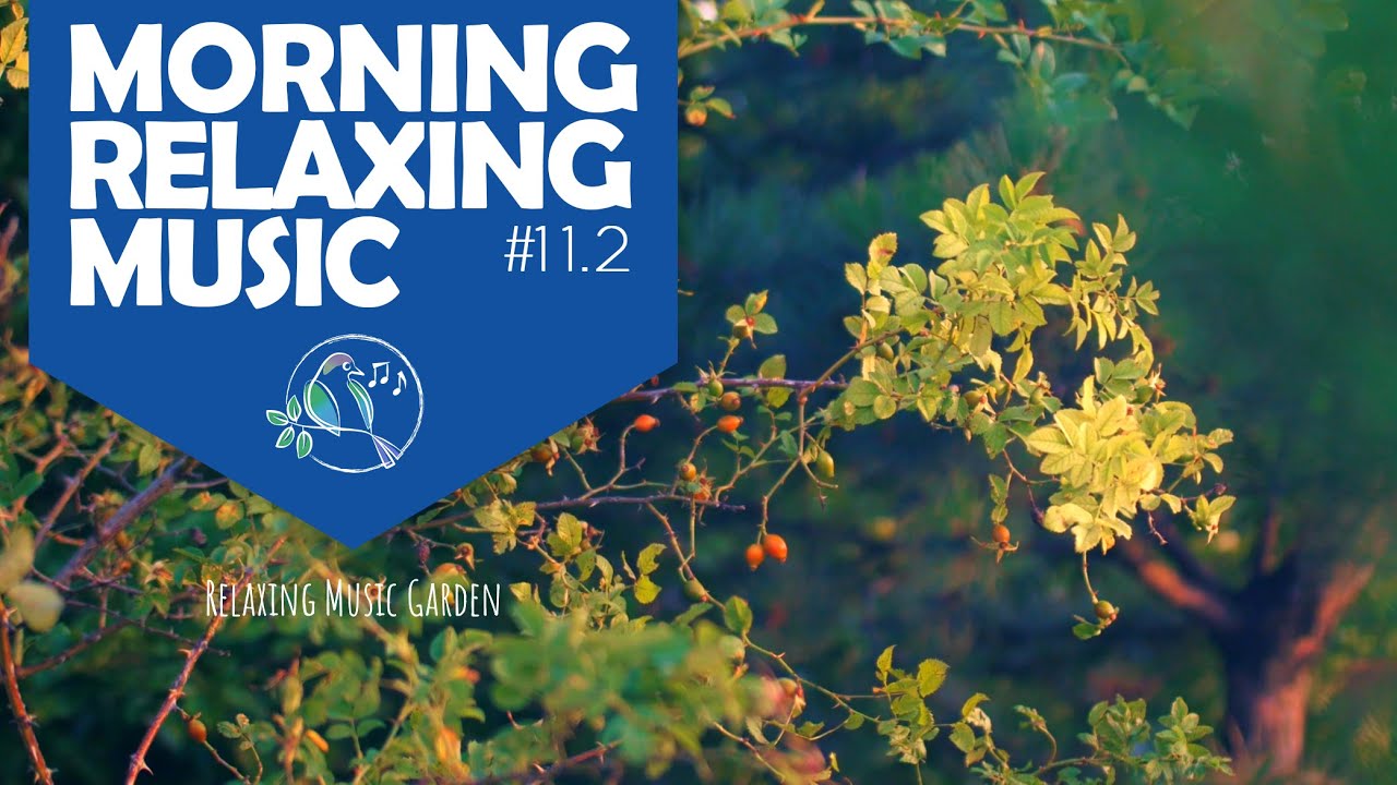 🔵 Relaxing Morning Music Soothing Relaxation | Study Music Background ...