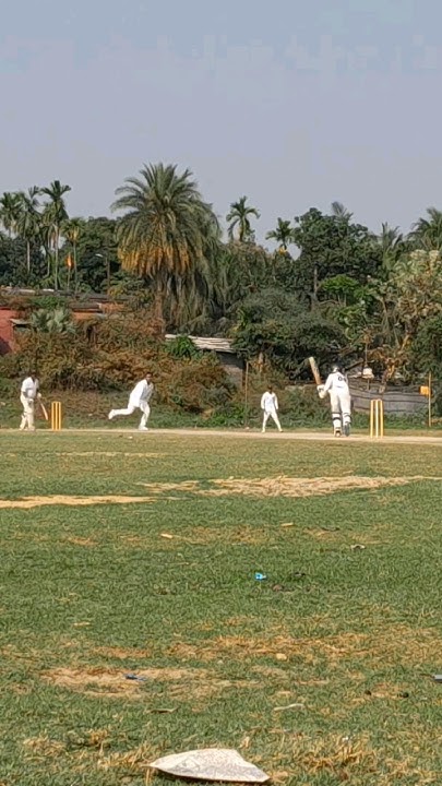 hitting the ball out of the park | #cricket #teniscricket #viral # ...