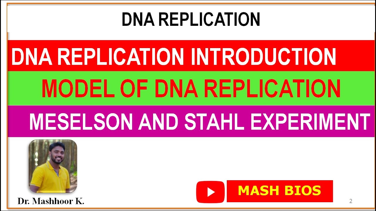 DNA REPLICATION: MODELS OF REPLICATION, MESELSON AND STAHL EXPERIMENT - YouTube