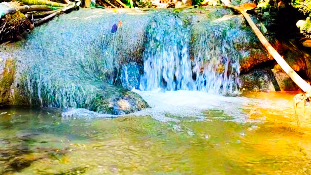 Waterfall Gentle Stream Sound in forest 24/7. Waterfall Sounds, Flowing ...