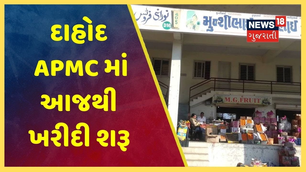 દાહોદ APMC માં આજથી ખરીદી શરૂ, Registration થયેલા ખેડૂતોને અપાશે પ્રવેશ ...