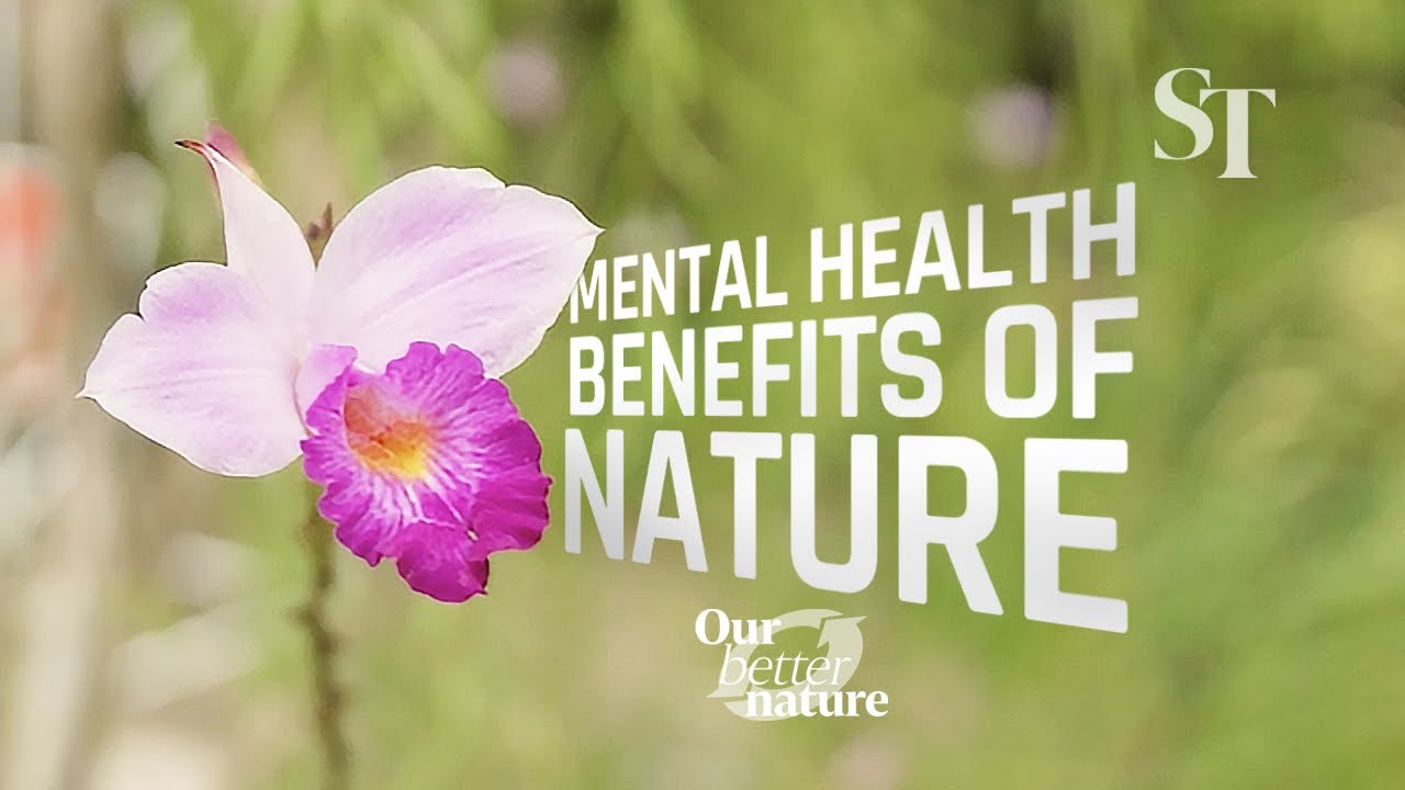 How nature can improve your mental health | Our Better Nature EP 5 ...