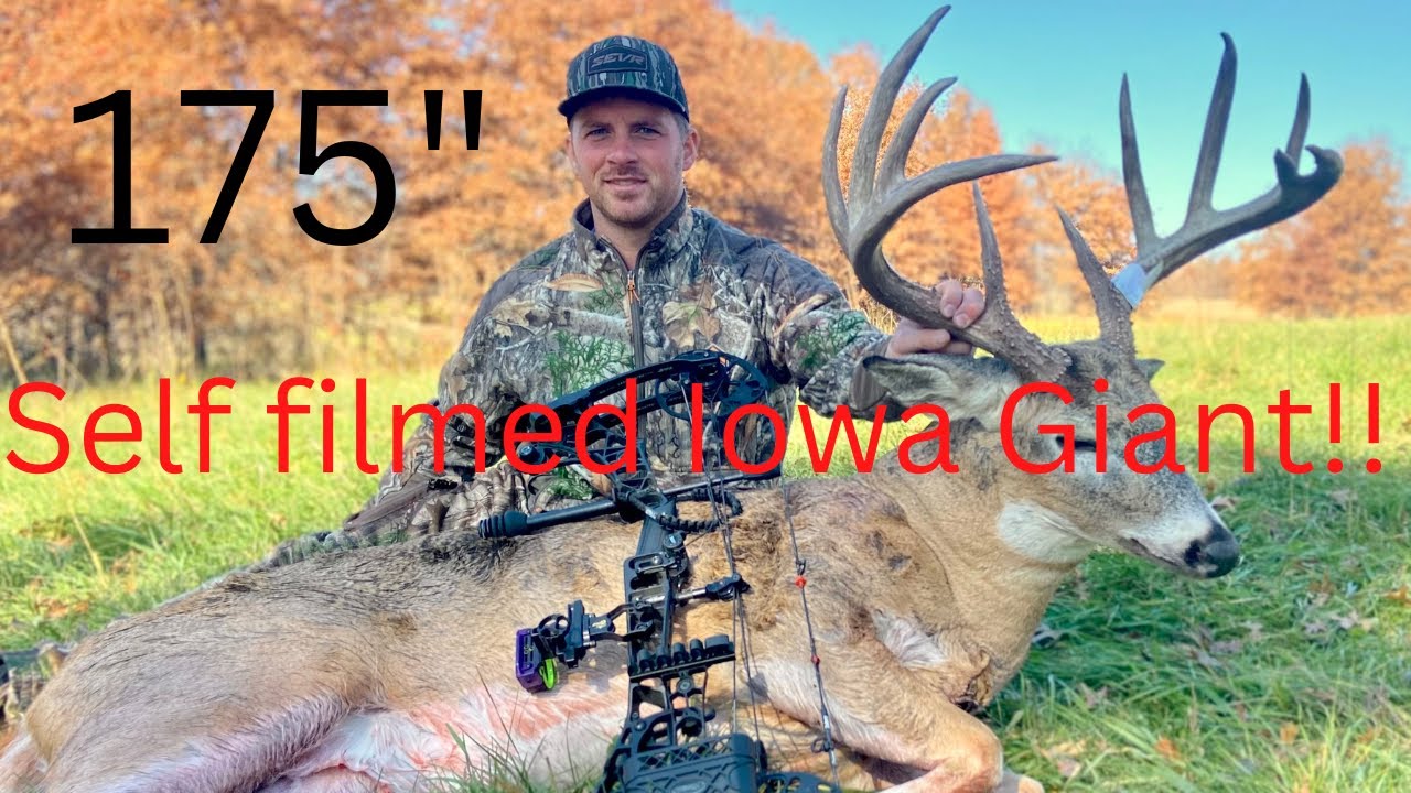 175" Iowa Giant - Homestead BBD - YouTube