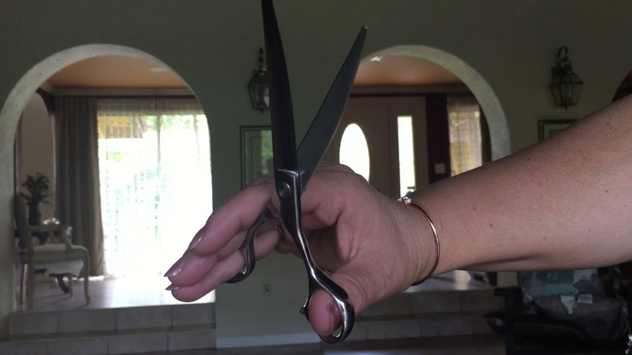 Assignment C4 Scissoring Technique - YouTube