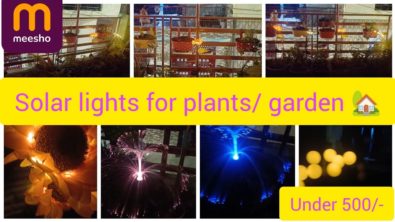 Meesho best solar lights for garden /plant ☘️ under 500/- from meesho ...