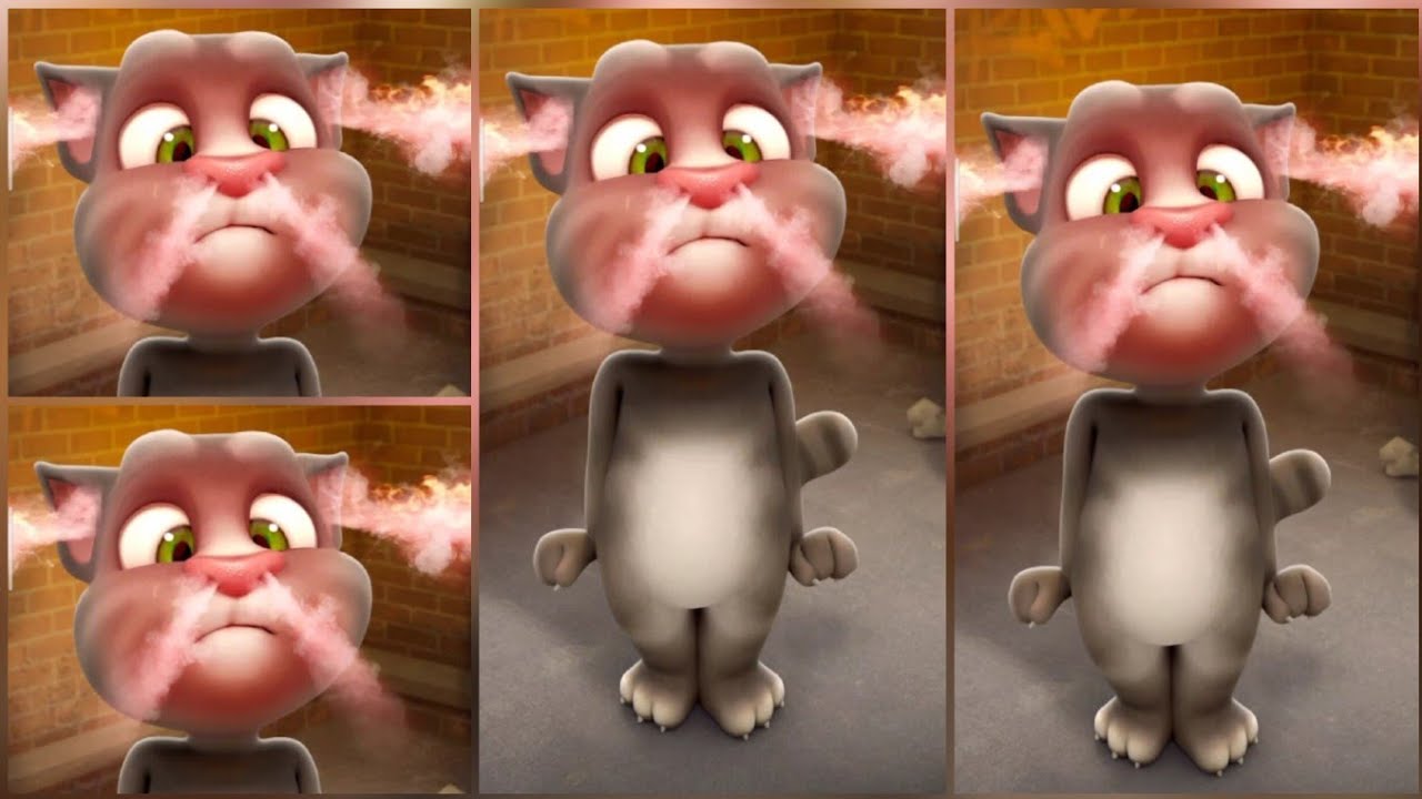 Talking Tom Cat - Funny Food Movements and Colors #20 - YouTube