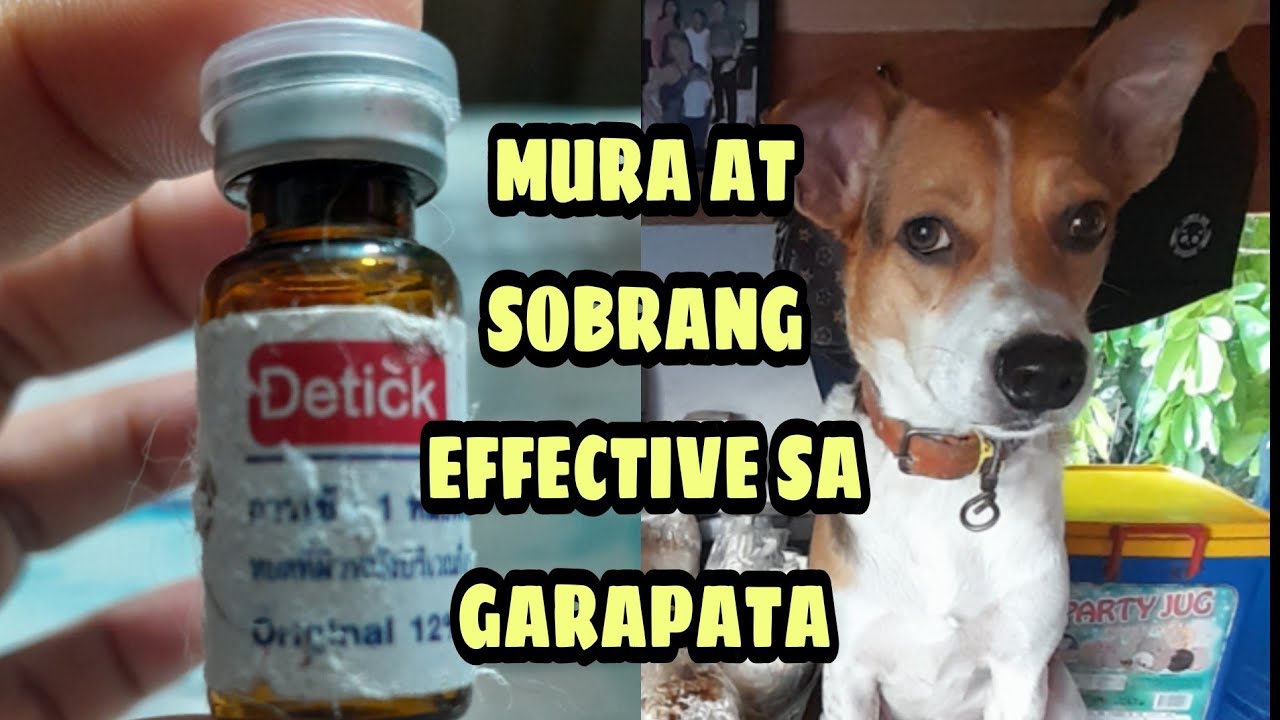 MABISANG PANGTANGAL NG GARAPATA.. - YouTube