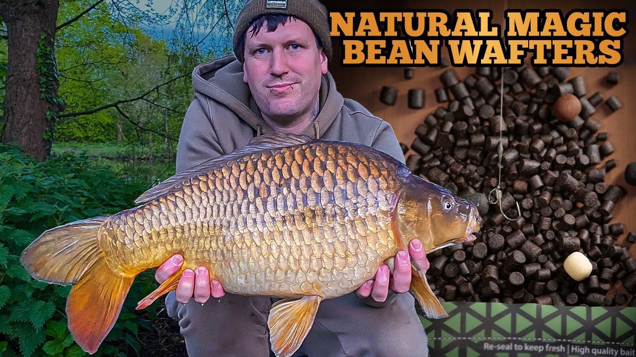 | Moreton Fisheries | Carp Fishing | Parker Baits New Natural Magic ...