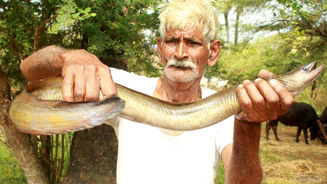 How to Cook Snake Fish Fry By Grandpa Village | Prepared EEL MONSTER ...