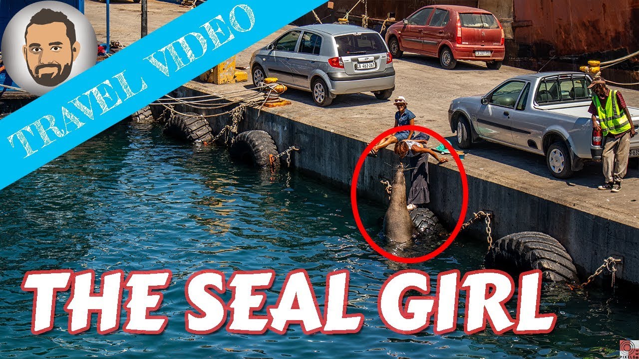 The Seal Girl | A Unique Relationship With a Wild Animal | Hout Bay ...
