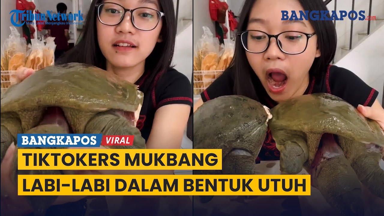 Disantap Bentuk Utuh, Wanita Mukbang Labi-Labi Bikin Merinding - YouTube