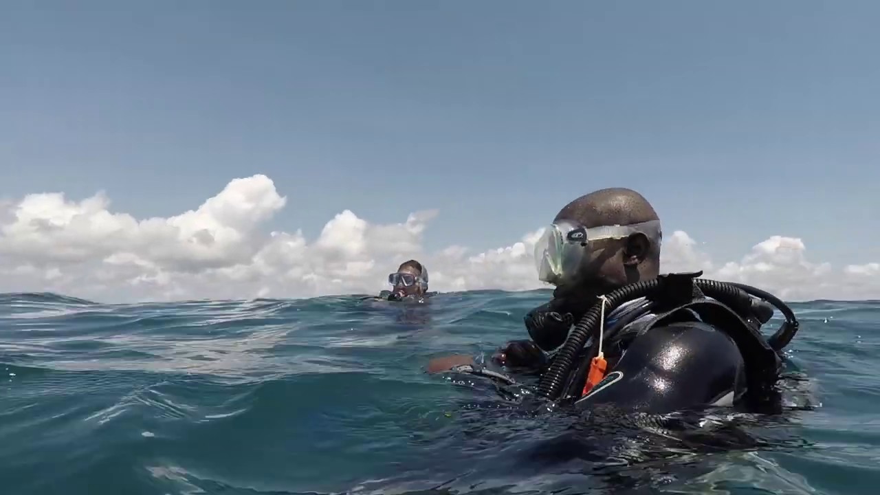 Diving in Mombasa Kenya Diani Kisima Cha Mungu Reef - YouTube