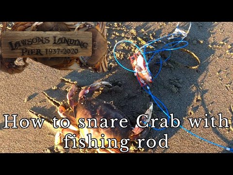 How to use a snare with a fishing pole for crab|Dungeness crabbing ...