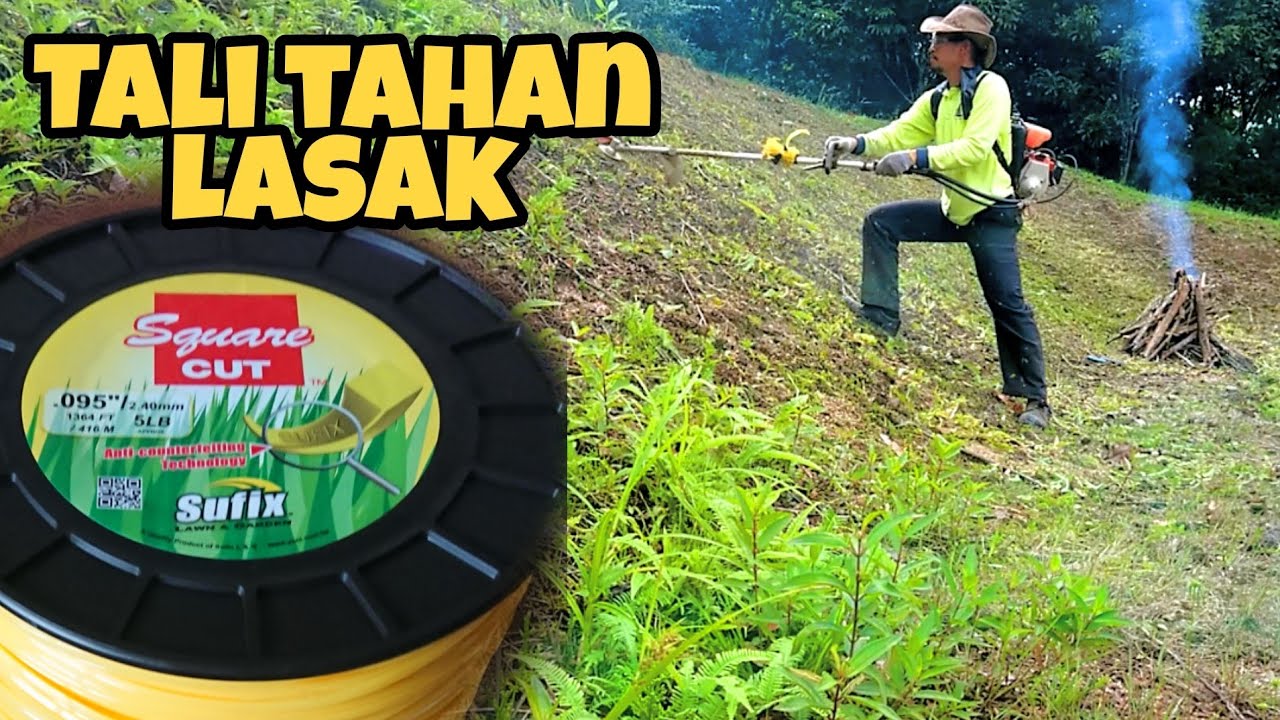 Mesin rumput bercampur pokok resam guna tali jenama Sufix. - YouTube