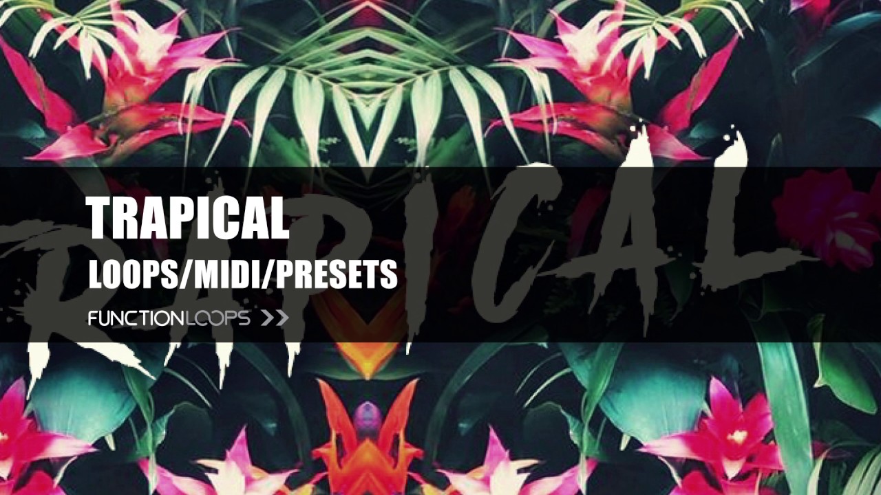 TRAPICAL - Sample Pack | Trapical Loops, Samples, MIDI & Presets ...