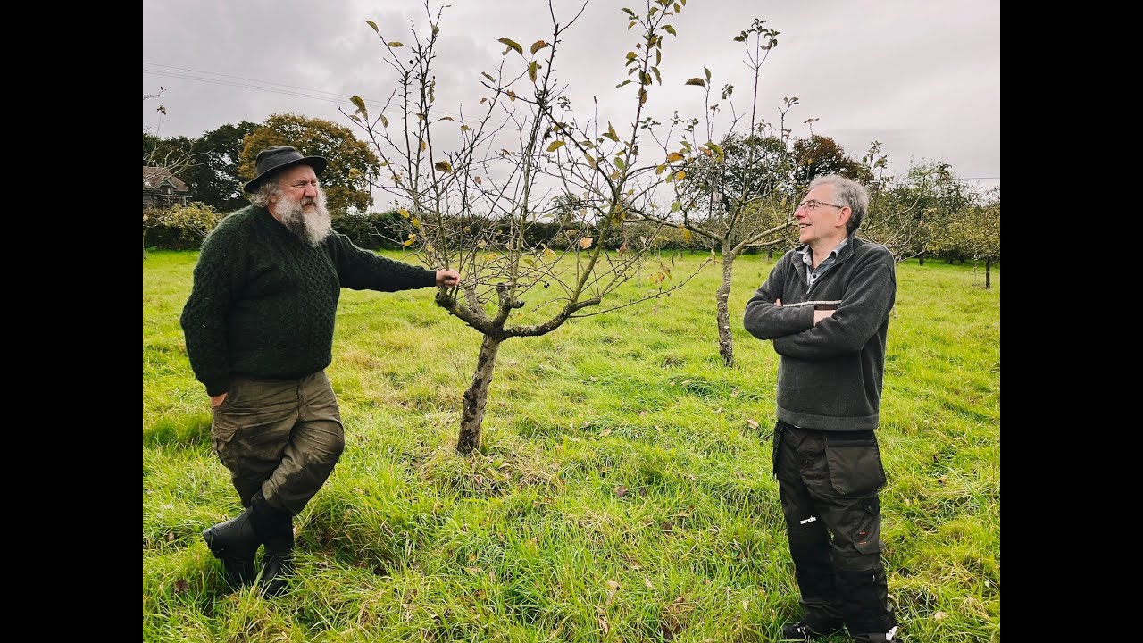 Cider Orchard Haven, Apple Scrumping, featuring Stephen Hayes - YouTube