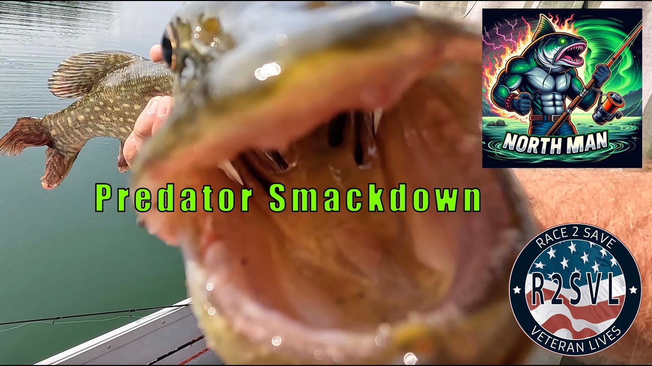 BEST WAY TO CATCH PIKE & BASS! (Anywhere) - YouTube