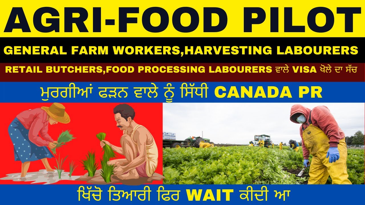 Agri Food Pilot | Agri Food Immigration Pilot Program 2022 | Canada PR ...